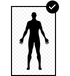 Free Character Animation Software | Cartoon Character Maker - Mango Animate