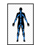 Free Character Animation Software | Cartoon Character Maker - Mango Animate